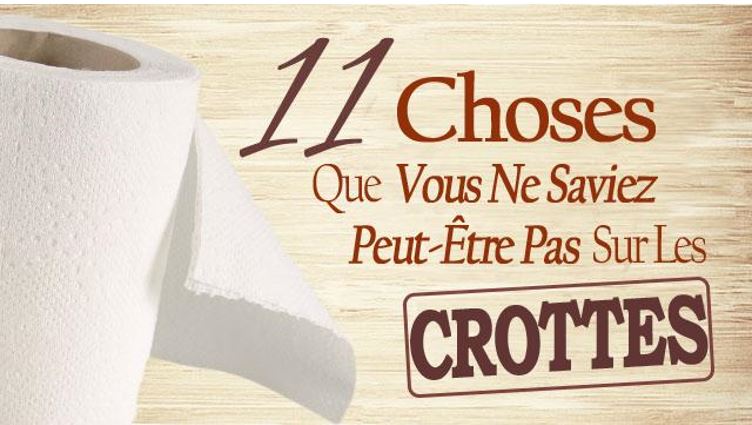 11 Choses Que Vous Ne Saviez Peut-Être Pas Sur Les Crottes (La N°5 Est ...
